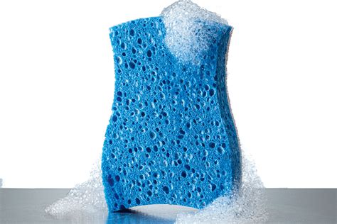 The Very Gross Reason You Should Swap Your Washing Up Sponge For A Brush Bbc Science Focus