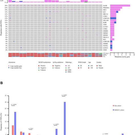 Copy Number Variation Cnv Analysis A Distribution Shift Of Cnvs In