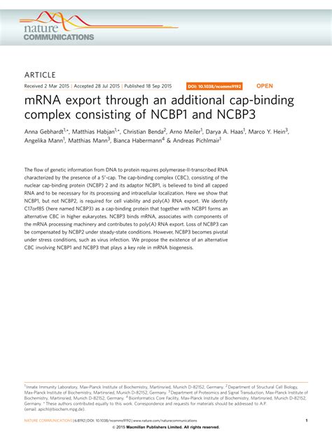 Pdf Mrna Export Through An Additional Cap Binding Complex Consisting