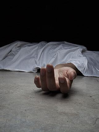 Instrumentation For Stable Isotope Forensics Elementar