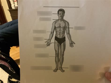 Unit Quiz Diagram Quizlet