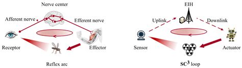 논문 리뷰 Sensing Communication Computing Control Closed Loop