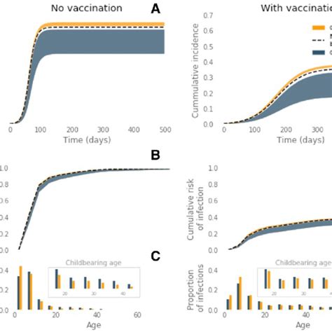 Epidemiology Predicted By The Mathematical Model For Seasonal Influenza