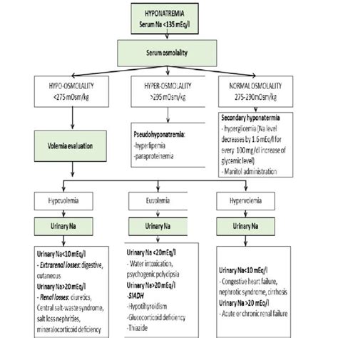 Etiological Diagnosis Algorithm Of Hyponatremia Adapted From Schrier