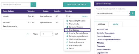 Como realizar backup do banco de dados do seu conteúdo atual