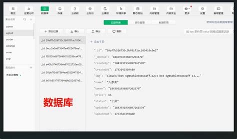 微信商城小程序支付实战项目学习云开发内容管理后台 哔哩哔哩 bilibili