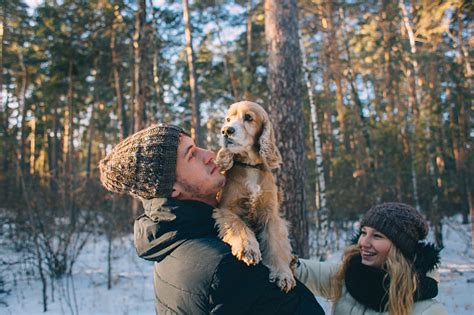 귀여운 젊은 부부는 화창한 날에 자신의 개 골든 리트리버와 겨울 공원에서 재미를 미소 겨울 눈 덮인 시골에서 개와 포옹하는 여자와 남자 가을에 대한 스톡 사진 및 기타
