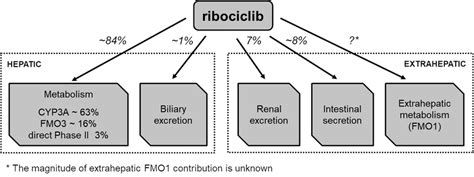 Schematic Description Of Anticipated Ribociclib Elimination Pathways Download Scientific