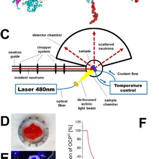 A And B Structures Of OCP O Protein Data Bank Entry MG And Download Scientific