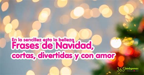 Frases De Navidad Las Mejores Cortas Y Divertidas