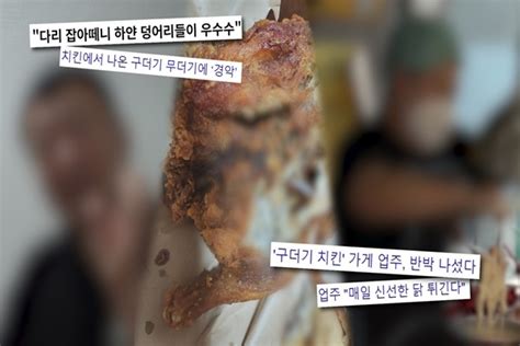 ‘궁금한이야기y 구더기 치킨 논란 업주 “매일 신선한 닭 튀긴다…억울” 싱글리스트