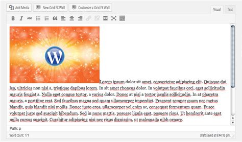Learn How To Use The Free WordPress Photo Editing Tools Part I Alignment And Padding Vivid