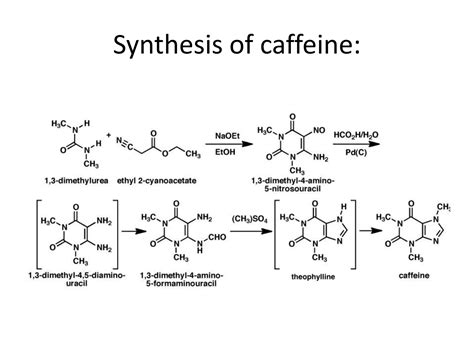 Caffeine Ppt