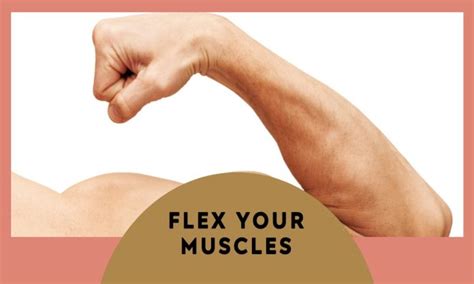 Parts Of The Bicep Healthy Mens