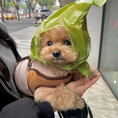 （以下用🐶代表我室友 她屬狗） 🐶：我一直覺得這種事情就是一個願打一個願挨 我：嗯⋯⋯我之前也這麼認為，但是我忘記是跟誰聊過了，我把他的想法