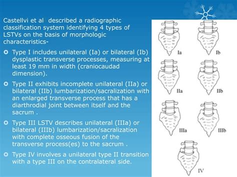 Transitional Vertebrae Radiology Pptx