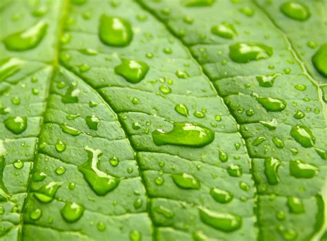 The Economics Of Sustainable Assets