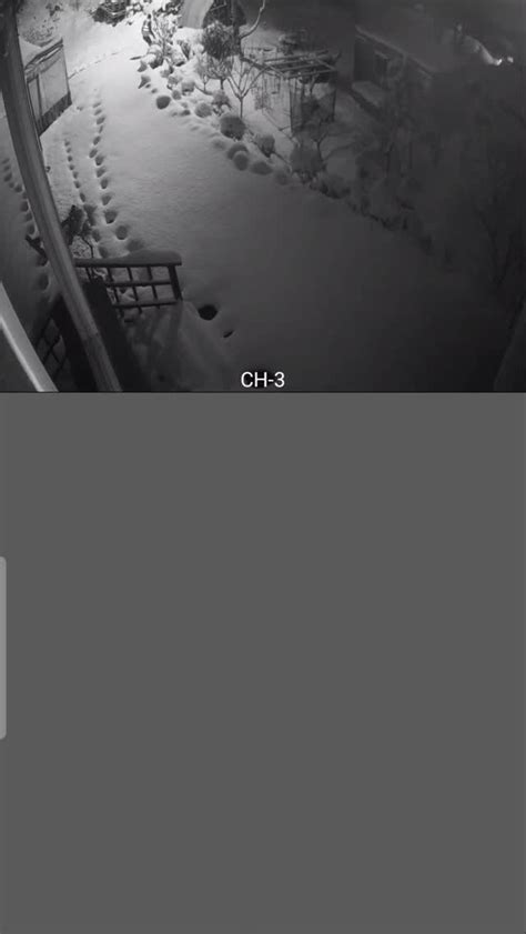 한종덕 20250111 햇살가득 눈내리는날 햇살이 가득인데 눈발이 날리는 어허 요놈봐라 Instagram