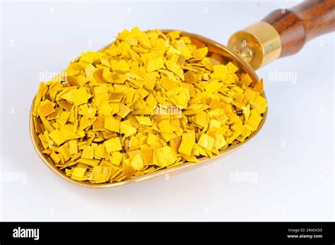 Amur Cork Tree Bark Cortex Phellodendri Huang Bo Huang Bai Stock