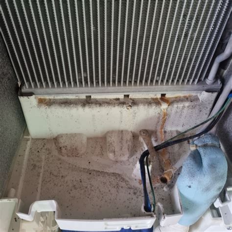 에어컨 청소 필수라고 말씀 드리는 이유 대전광역시 서구 도안동 비즈프로필