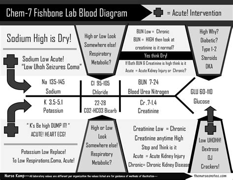 Lab Diagram For Bmp