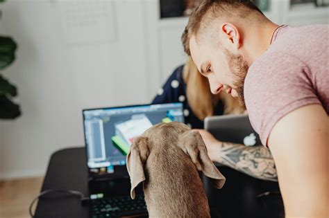Enhancing Website Accessibility BARQAR