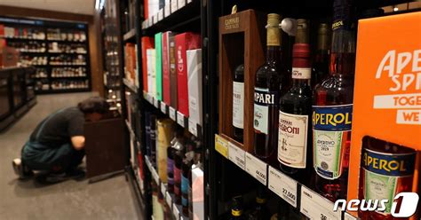 롯데마트 2주간 주류 할인 행사 주주총회 개최