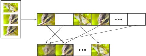 pose pooling kernel corresponding poselets are grouped download