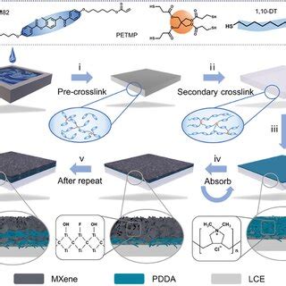 Schematic Diagram Of The Preparation Process Of PMLCE Download Scientific Diagram