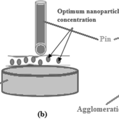 Schematic Illustration Of The Three Necked Round Bottom Flask [26] Download Scientific Diagram