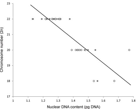 Relationship Between Nuclear 2C DNA Content And 2n Chromosome Number In Download Scientific