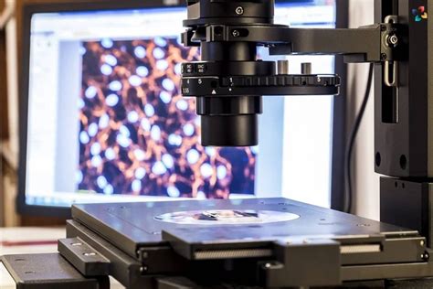 Atomic Force Microscopy 3 Modes Applications And Future The Lifesciences Magazine