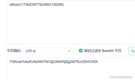 ctfhub web rce 读取源代码 ctfhub读取源代码 csdn博客