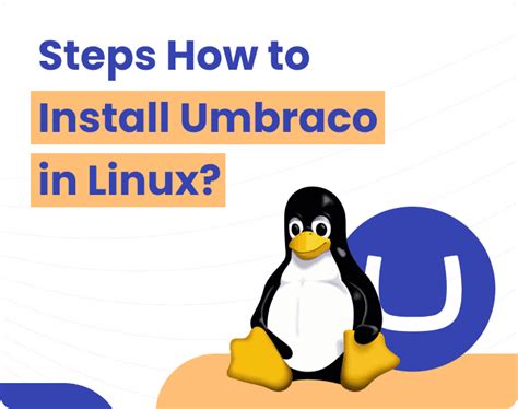 Steps How To Install Umbraco In Linux