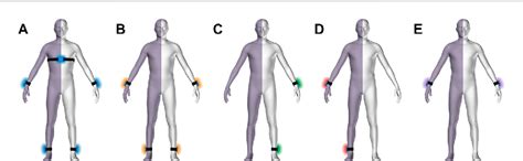 Figure 1 From Accuracy Of Gait And Posture Classification Using