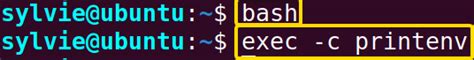 the “exec” command in linux [8 practical examples]
