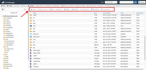 Cpanel Tutorial For Beginners Rackset