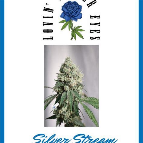 Silver Stream (LOVIN) – ETHOS