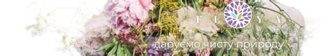 Floya Linkedin