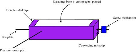Schematic Figure Showing The Fabrication Protocol For The Preparation