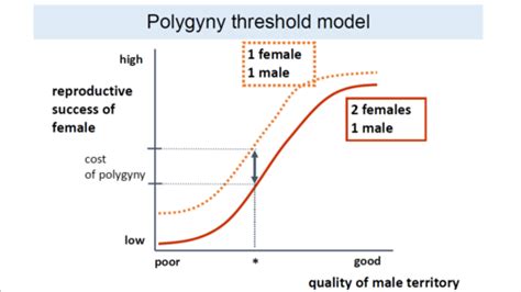 Unit 5 Reproductive Strategies Flashcards Quizlet