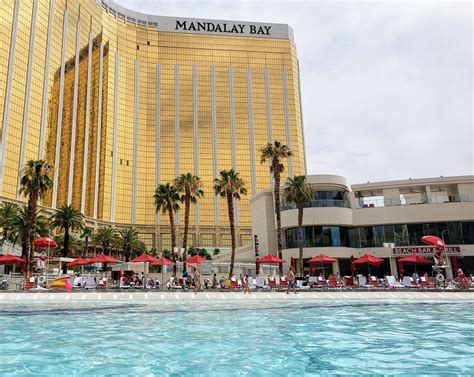 Mandalay Bay Las Vegas Pools An Honest Review