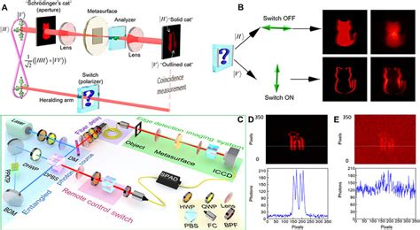 quantum switchable edge detection based on pb phase metasurface
