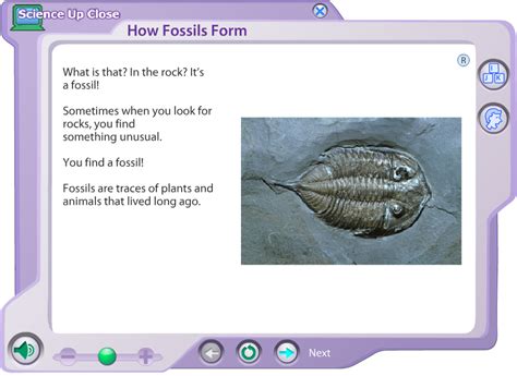 How Fossils Form Content ClassConnect