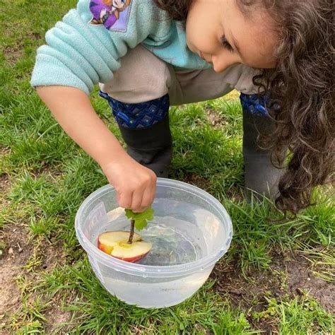 Tips To Support Self Directed Learning At Home — Wildflower Homeschool Collective