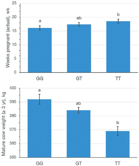 Least Squares Means For Continuous Heifer Fertility And Weight Traits Download Scientific