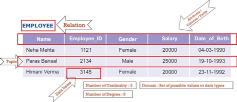 Class 12 It 802 Unit 1 Database Concepts Basics Of Rdbms Question