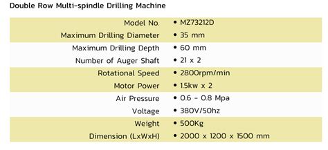 Double Row Multi Spindle Drilling Machine Woodtechmc