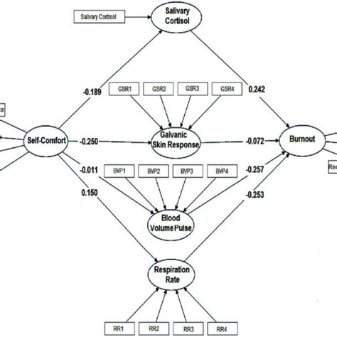 path model with path coefficients β among the latent variables
