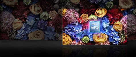 Tv Điện Gia Dụng Tcl Electronics Việt Nam